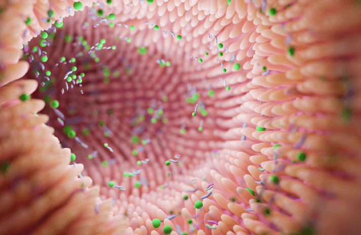 Síndrome de malabsorción intestinal – Farmacéuticos